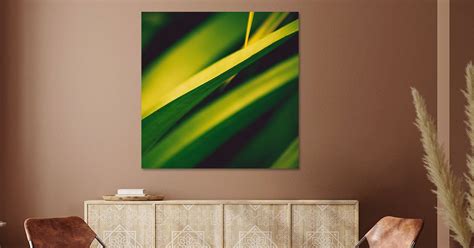 Consonant Chords By Insolitus Fotografie On Canvas Poster Wallpaper