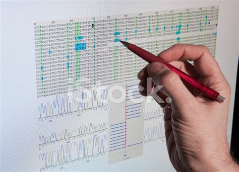 Dna Sequence Analysis Stock Photo Royalty Free Images FreeImages