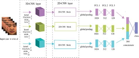 The Combination Structure Of The 2d Cnn And 3d Cnn In Tsnn Lf For Mer Download Scientific