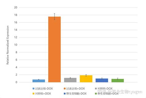 稳转细胞株细节详解，轻松实现高调控效率和稳定性状的构建实验！ 知乎