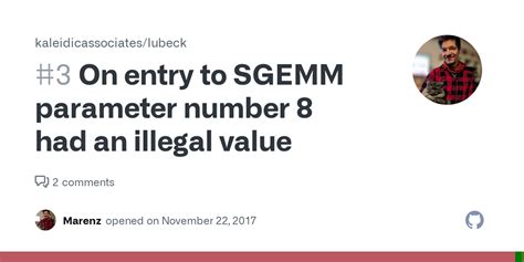 On Entry To Sgemm Parameter Number 8 Had An Illegal Value · Issue 3 · Kaleidicassociateslubeck
