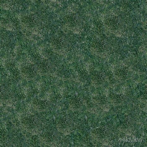 Grass Seamless Texture Material Map For Creating Materials Background Wall Mural • Murals