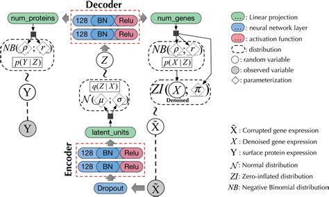 Semisupervised Generative Autoencoder For Single Cell Data Journal Of