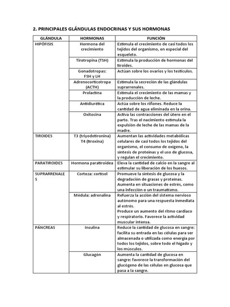Principales Glándulas Endocrinas Y Sus Hormonas Pdf Sistema