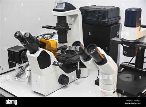 Laboratory Microscope A Microscope In A Biological Laboratory Stock Photo Alamy