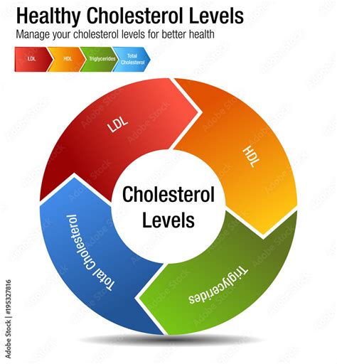 Total Blood Cholesterol Hdl Ldl Triglycerides Chart Stock Vector