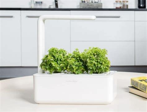 Click And Grow Nutrient Lazada Singapore