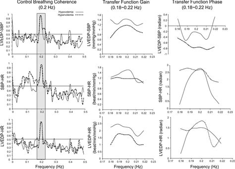 Transfer Function Coherence Left Gain Center And Phase Right Of