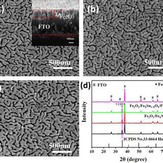 SEM Images Of A Bare Fe O Inset Crosssectional Image B Download Scientific Diagram