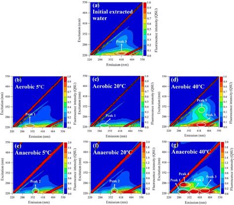 eem contour plot for water extracted from dwts initial value and