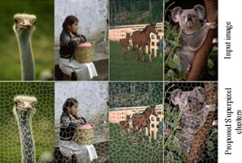 Illustration Of Superpixel Segmentation Download Scientific Diagram