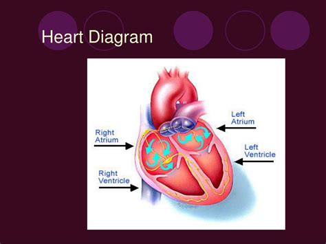 PPT Covariance Structures In Longitudinal Analysis PowerPoint Presentation ID