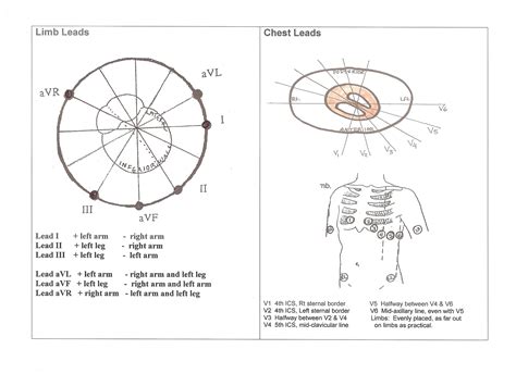 Illustration Ecg Guru Instructor Resources