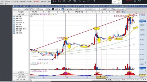 행복한 투자마인드 잊지 않습니다 Sk케미칼 셀트리온헬스케어 셀트리온제약 신풍제약 레고켐바이오 주가전망 및 대응전략 주식차트분석 Youtube