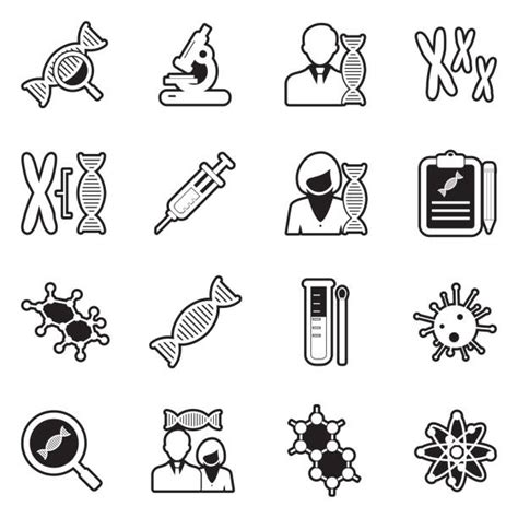 140 Genome Sequencing Graphic Stock Illustrations Royalty Free Vector