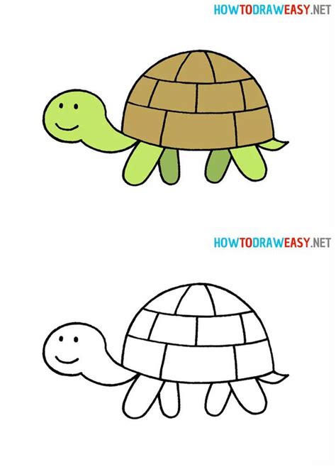 How To Draw An Easy Hawksbill Turtle Killeen Thatter1999