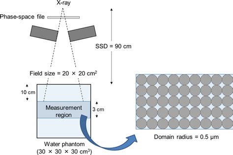 Irradiation Geometry For The Monte Carlo Calculations With 6‐mv Photon Download Scientific