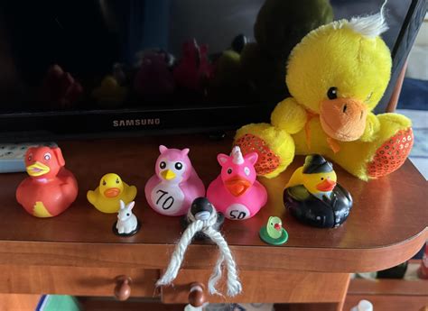 The Story Behind Why People Everywhere Are Hiding Rubber Ducks On Cruises Bright Side