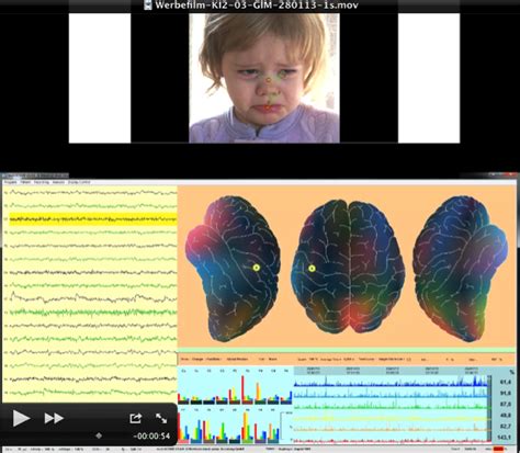 Neurocode Tracking Eeg And Eye Tracking