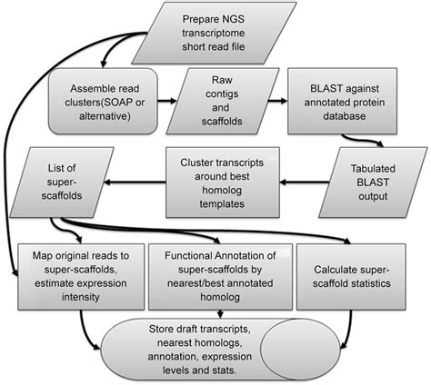 Overview Of The Analysis Workflow Download Scientific Diagram