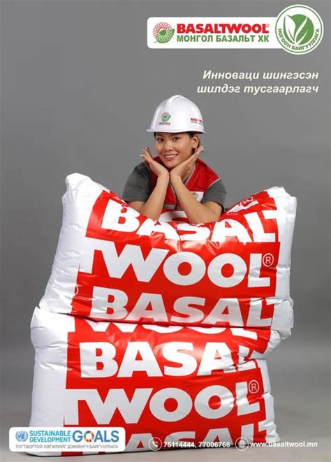 Mongol Хэрэглэгч та Базальт чулуун хөвөн гөөр байр🏢 байшингаа🏠