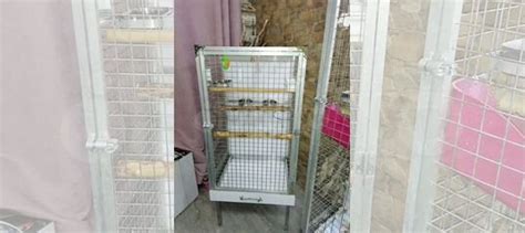 Вольер для попугая купить в Москве | Животные и зоотовары | Авито