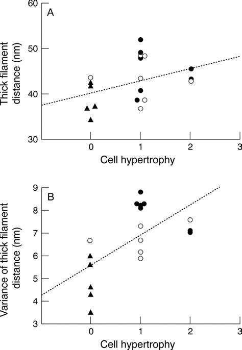 Malalignment Of The Sarcomeric Filaments In Hypertrophic Cardiomyopathy With Cardiac Myosin