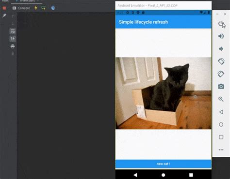 Fluttertips Using Mixin To Have Access To Application Lifecycle State