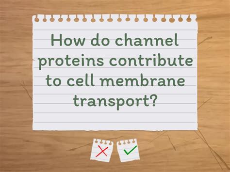 Cell Structure And Function Cytoskeleton Flash Cards