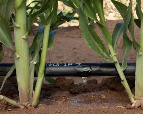 Drip Irrigation Systems Halpipes