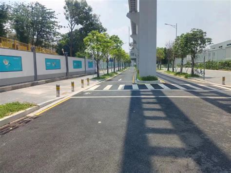 坪山区正式开通20条市政道路 各区动态