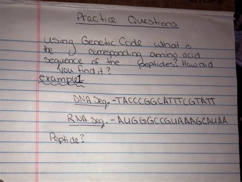 solved practice questions using genetic code what is the