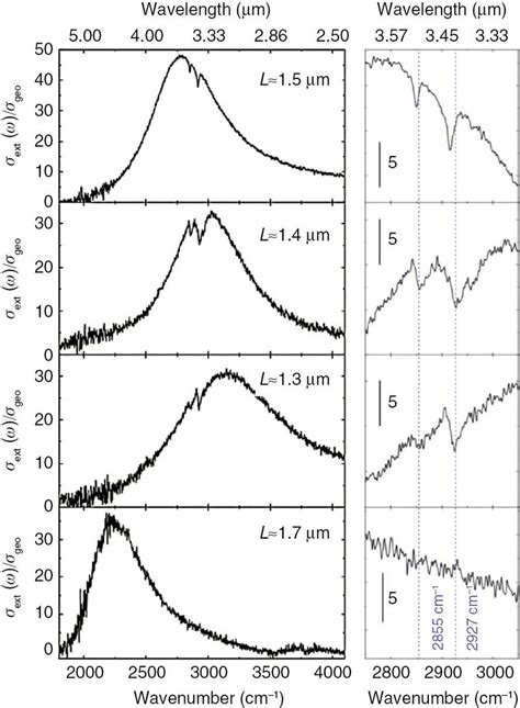 Experimental Extinction Cross Sections σext Normalized To The