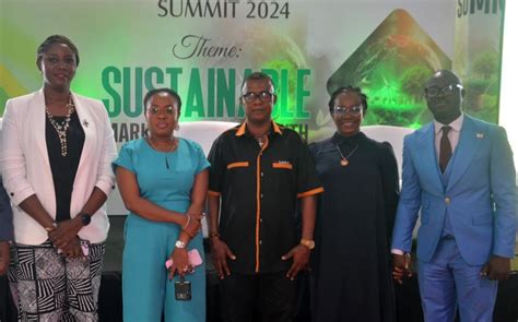 Adeyemi Matthew On Linkedin Experts Task Marketers On Sustainable Marketing At Industry