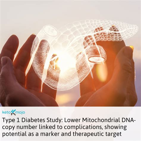 Mitochondrial Dna Copy Number In Adults With And Without Type 1 Diabetes Keto Mojo