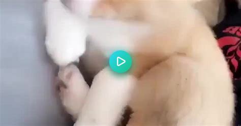 When She Is Losing The Argument And Decides To Bust Out A Cheat Code Album On Imgur