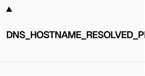 Dns Hostname Resolved Private