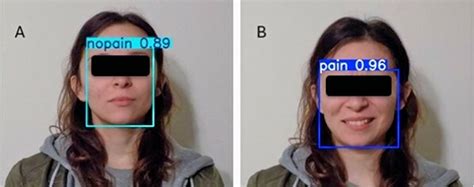 Employing The Artificial Intelligence Object Detection Tool Yolov8 For Jpr