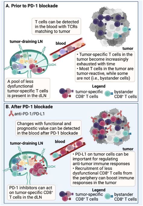 TCR Sequencing In Cancer And Autoimmunity Barcodes And Beyond Abstract Europe PMC