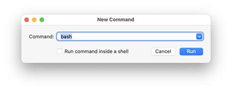 Zsh Terminal Error Apple Community