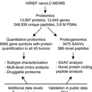 Proteomics Workflow Overview Quantitative Proteome And Proteogenomics