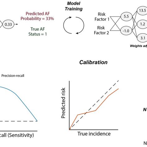 The Present And Future Of Ai For Af Risk Estimation Depicted Is An