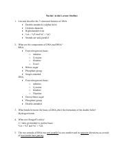 Nucleic Acids Lecture Outline Pdf Nucleic Acids Lecture Outline 1 List And Describe The 5