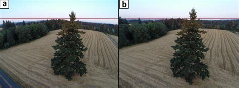 Removal Of Lens Distortion Demonstration Of A Original Vs B Download Scientific Diagram