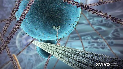 Free Science Background Photos 300 Science Background For Free