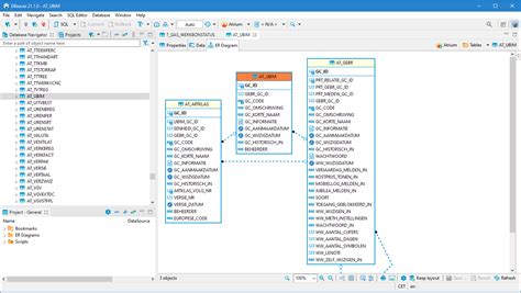 DBeaver Database Tool DeGraafOnline Com