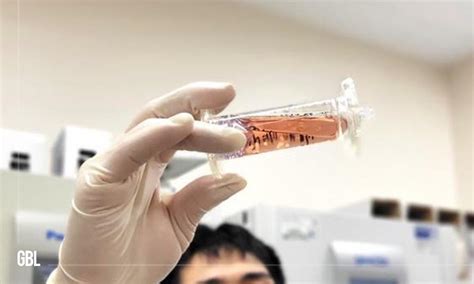 Robust Human Intestinal Organoids Are Created In The Lab