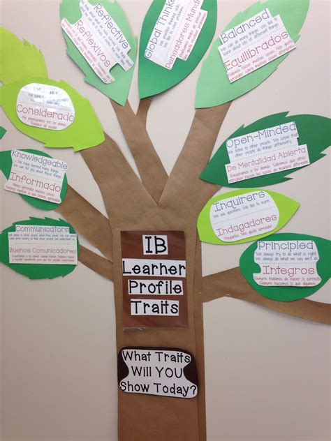 Using Interactive Bulletin Boards In Your Ib Pyp Classroom Artofit