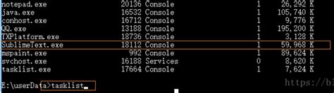 Windows Tasklist Taskkill