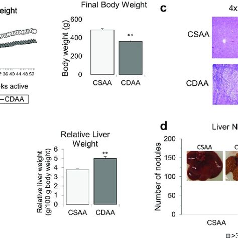 Dysregulation Of Dna Methylating And Demethylating Enzymes And Dna